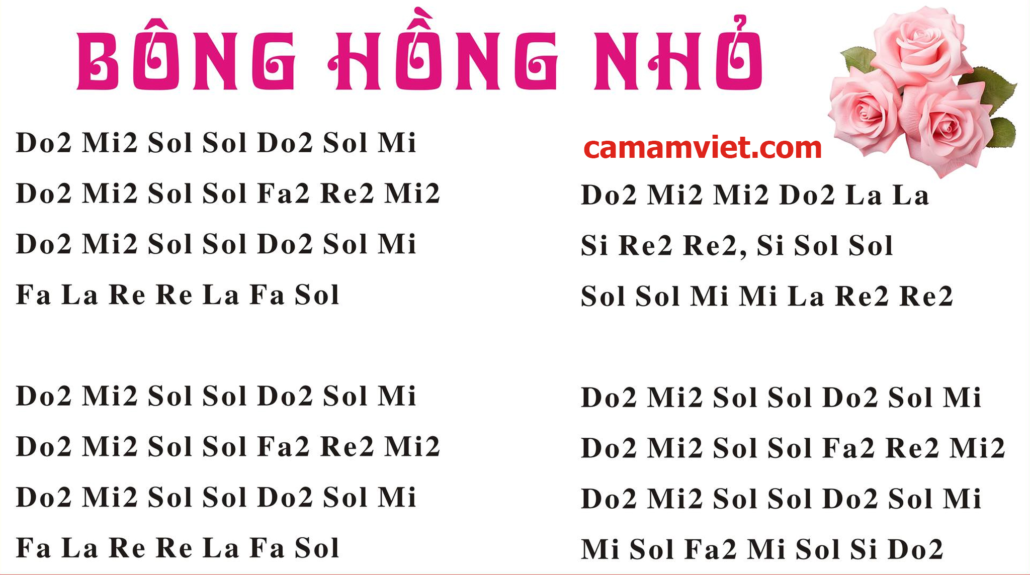 Cảm âm BÔNG HỒNG NHỎ - CẢM ÂM VIỆT